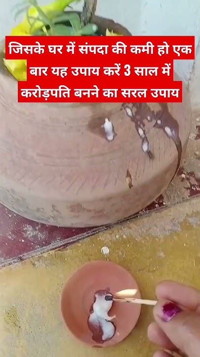 तुलसी के क्यारे मे1चीज चढ़ा दो 3 साल मे करोड़पति बन जाओगेpandit