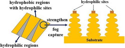 亲水位点的区域选择性沉积增强亲水 疏水表面的集雾性能 Colloids and Surfaces A Physicochemical and
