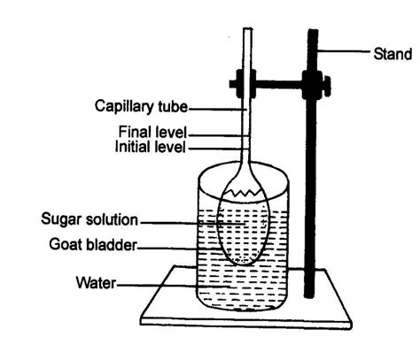 Osmometer At Best Price In India
