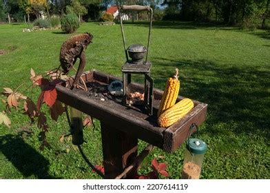 3 Hundred Bird Feeder Types Royalty Free Images Stock Photos Pictures Shutterstock