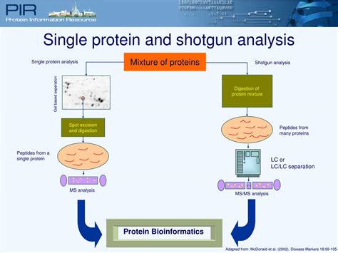 Ppt Protein Sequence Analysis Overview Powerpoint Presentation Free Download Id 3089337
