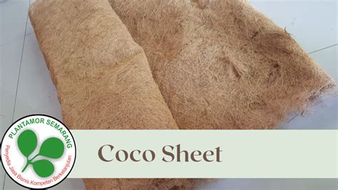 Coco Sheet Cv Plantamor