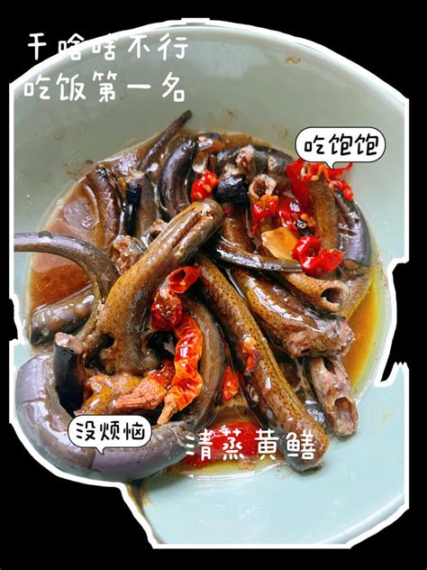【清蒸黄鳝的做法步骤图，清蒸黄鳝怎么做好吃】小捷妹爱吃鱼下厨房