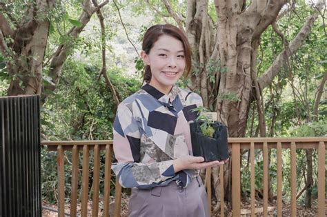 新竹市十八尖山百年慶賞花 邀市民賞花踏青共遊大自然 屏東時報電子報