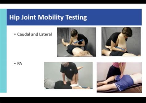 Hip Special Tests Flashcards Quizlet