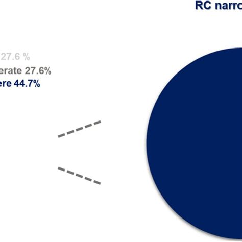 Schematic Of The Classification Of Patients Depending On Dise Findings Download Scientific Diagram