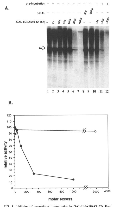 Figure 3 From Identifying A Transcription Factor Interaction Site On