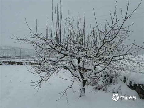 辽宁宽甸县降下大雪 积雪深度超过10厘米 天气图集 中国天气网
