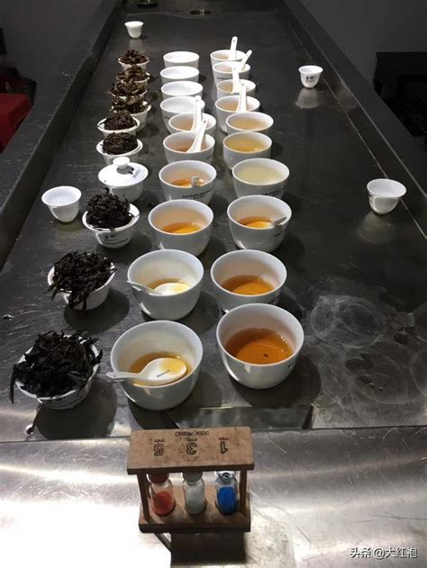 老說喝武夷岩茶貴可是武夷岩茶坑里的茶品質還真不簡單 每日頭條