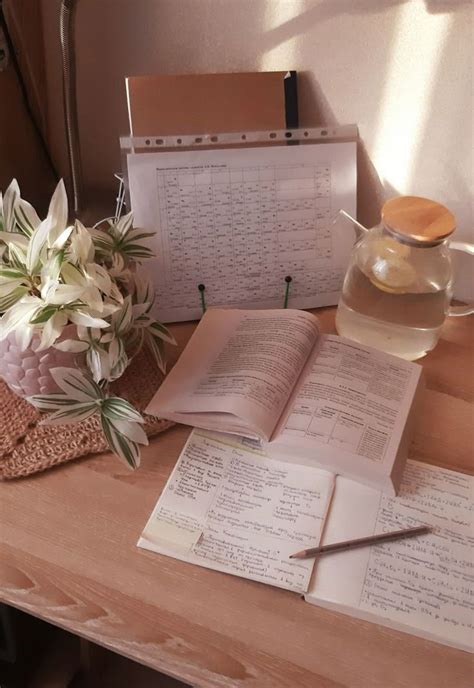 School studying aesthetic Школа учеба эстетика Study motivation