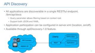 Websphere Connect And Api Discovery Ppt