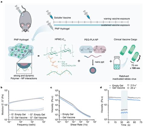 Sustained Delivery Of Commercial Vaccine Cargo With An Injectable Depot