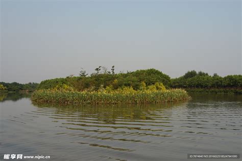 广州南沙湿地公园摄影图国内旅游旅游摄影摄影图库昵图网