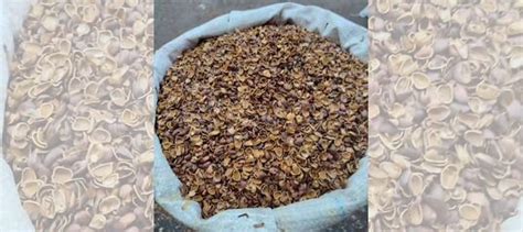 Скорлупа кедрового ореха 90 за мешок купить в Барнауле Товары для дома и дачи Авито