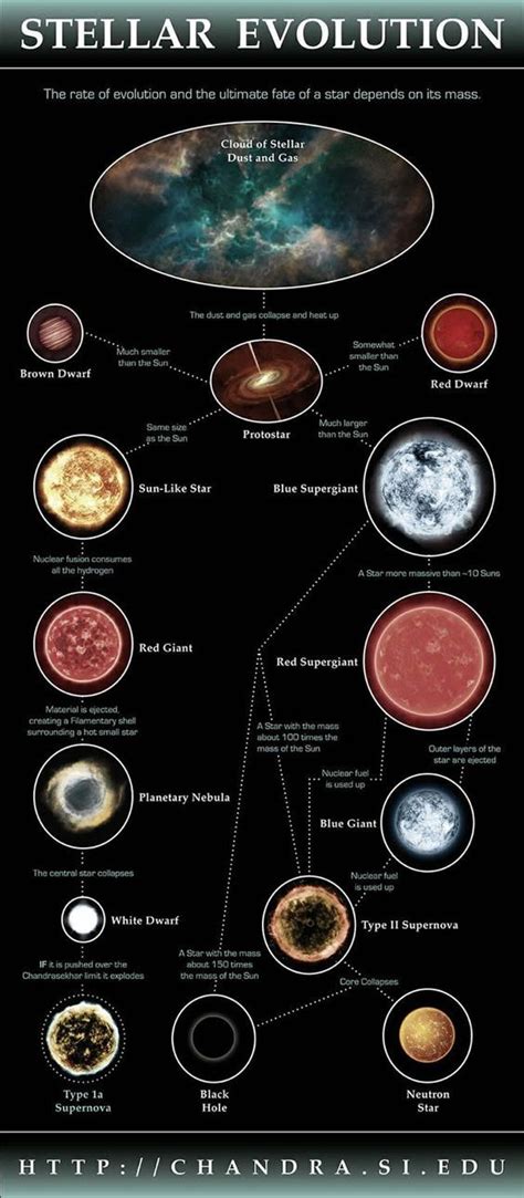 Infografica Evoluzione Stellare Infographic Stellar Evolution