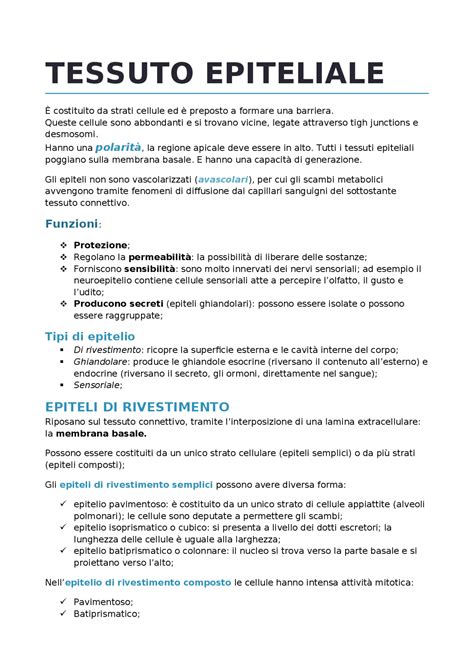 Tessuto Epiteliale Docsity