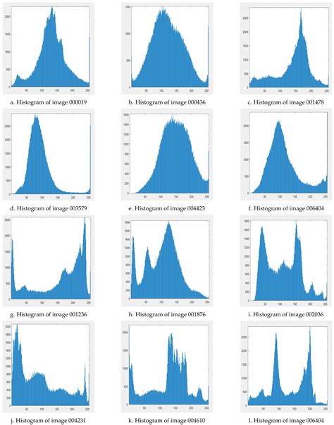 Applied Sciences Free Full Text Otsu Multi Threshold Image Segmentation Based On Improved