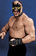 OAFE - WWF: Road Warrior Hawk review