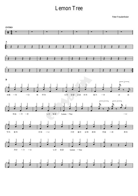 박혜경 Lemon Tree Sheet By Copydrum