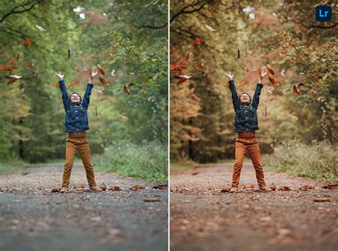 Automne Remix Photoshop Lightroom