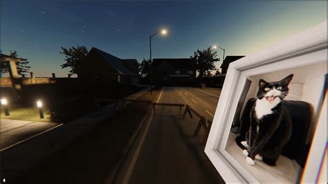 One Of The Cat Pictures On 13 Willow Street Looks Like Mine R