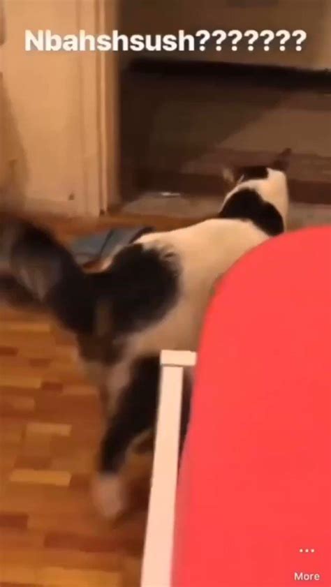 No Context Amcı on Twitter RT SezonBet aga yok böyle bişi