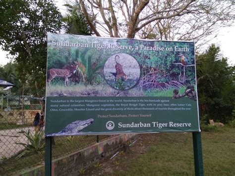 Samrat Basak Auf Linkedin Sundarbanday Sundarban Water Wetlands