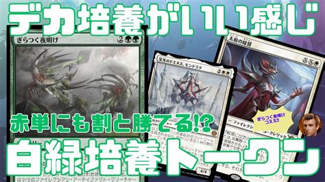 【mtgアリーナ】培養トークンを縦にも横にも伸ばしたい気分【機械兵団の進軍：決戦の後に】ランク戦・スタンダード・エクスプローラ