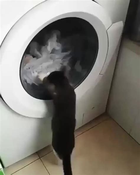 Can Not Stop Loop Rcat
