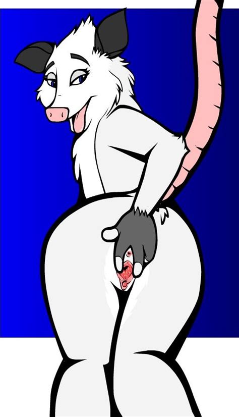 Rule 34 Anus Clitoris Female Fur Furry Heather Over The Hedge