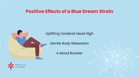 Blue Dream Cannabis Strain Your Complete Guide