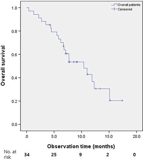 Kaplan Meier Graph Showing Overall Survival Of Patients Available For