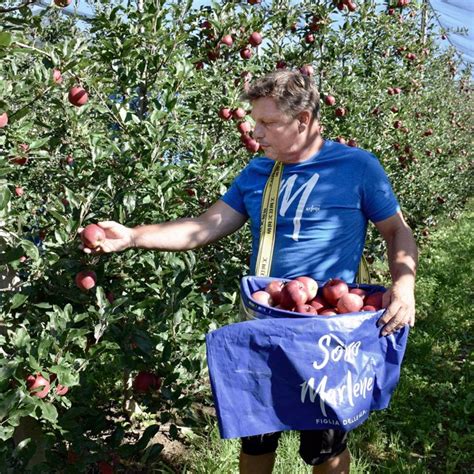 Vog Home Of Apples On Linkedin Vog Bestapple Bestservice Apples