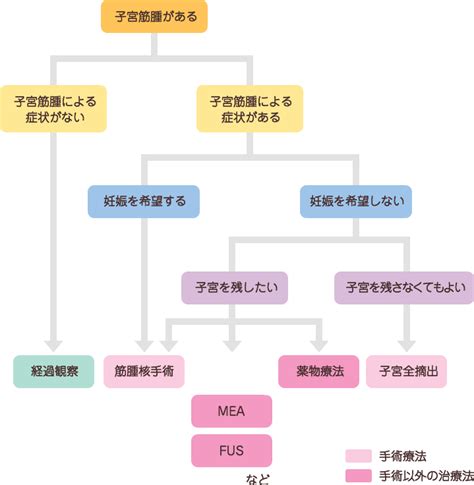 奈良県立医科大学附属病院 関西・近畿・大阪・京都など子宮筋腫の治療 Uae（子宮動脈塞栓術）について