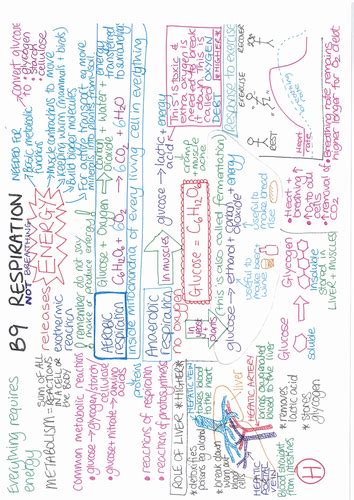 B9 Respiration One Page Revision Summary Aqa Gcse Biology 9 1