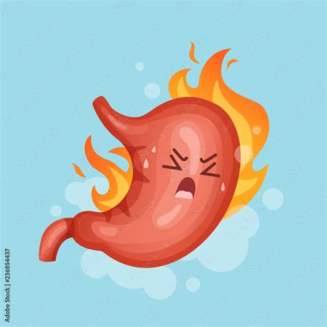 Stomach Heartburn Gastritis And Acid Reflux Indigestion And Stomach