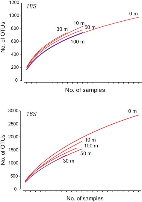 sample based rarefaction curves of each sampling depth layer of