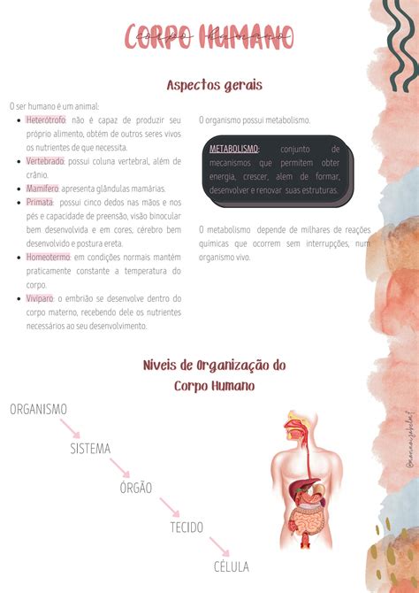 SOLUTION Corpo Humano Studypool