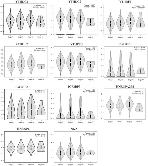The Relationship Between M6a Readers Mrna Expression And Pathological