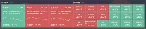 12月31日主题复盘 指数下探，大消费持续活跃，天然气、光伏异动 选股通 智选好股票