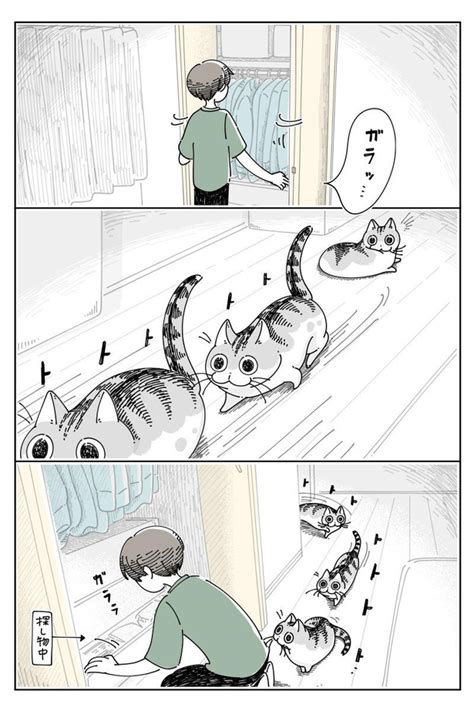 【愛猫イベント発生中】クローゼットに隠れる猫と、出したい飼い主の攻防にホッコリ 読者からは「知らずに閉じ込めたことも」と共感続々｜ウォーカープラス