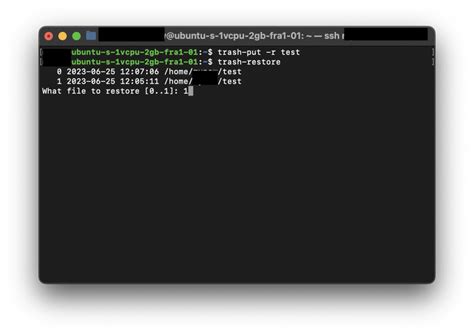 rm rf linux how to remove files copahost