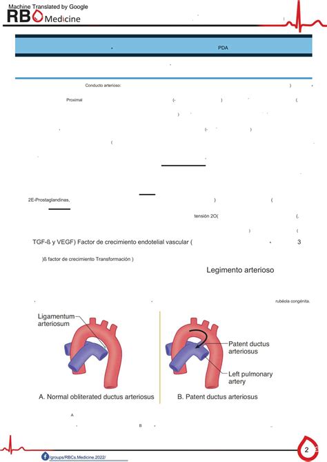 SOLUTION Defectos Card Acos Cong Nitos Rbc Cardiolog A Cardiolog A