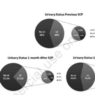 Behaviour Of The Different Types Of UI Before And After SCP Download Scientific Diagram