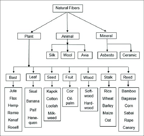 Classification Of Natural Fibers Download Scientific Diagram