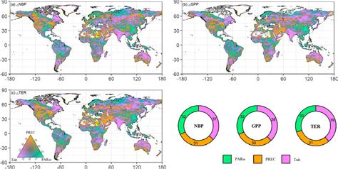 Spatial Pattern Distribution Of Net Biome Production Nbp Gross Download Scientific Diagram