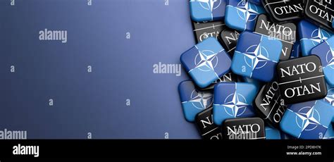 North Atlantic Treaty Organization Logo