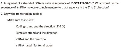 Solved 1 A Segment Of A Strand Of Dna Has A Base Sequence Of 5