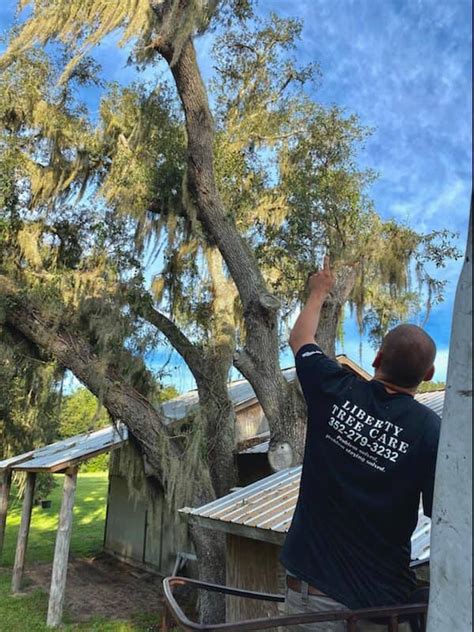 Tree Service Liberty Tree Care Tree Service Tree Trimming Tree Removal Stump Grinding