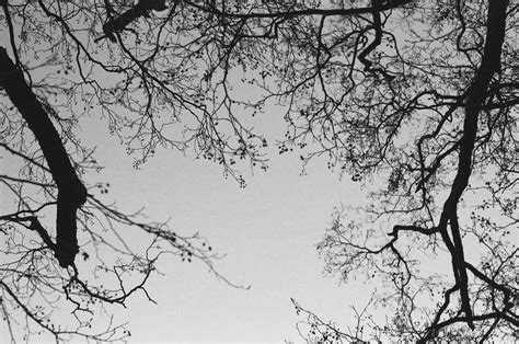 Etusivu Riina Bhatia